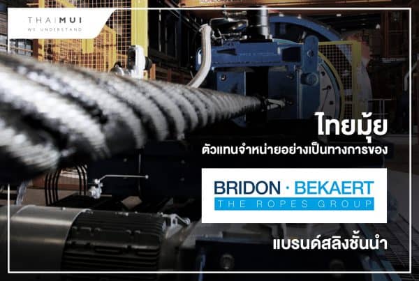 Knowledge - ไทยมุ้ย THAIMUI