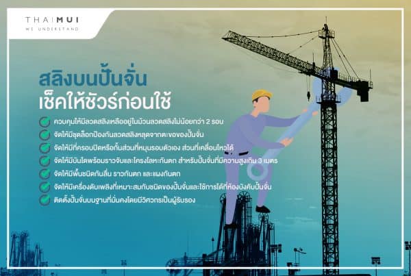 Knowledge - ไทยมุ้ย THAIMUI